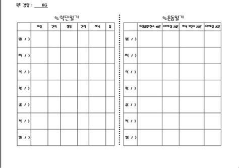 다이어트 일기 양식 네이버 블로그