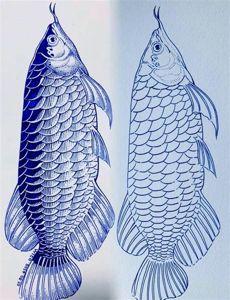 画金龙鱼简笔画简单画法（推荐13张） 简笔画图片大全