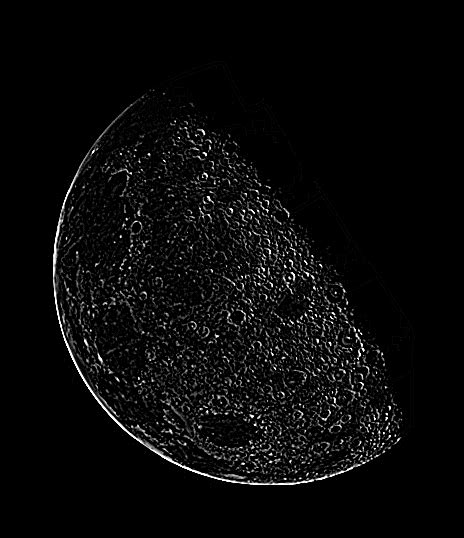 Laplacian Filter Laplacian Filter