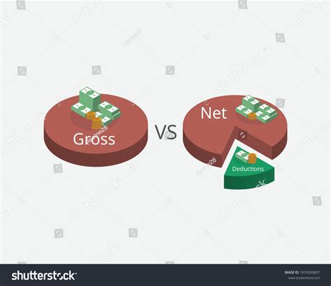 Comparison Gross Income Net Income Stock Vector Royalty Free 1974209807 Shutterstock