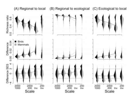 Spatial Scaling Of Functional Structure In Bird And Mammal Assemblages Jetz Lab Global