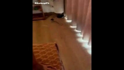 Viral Bokep Indo Terapis Pijat Kasih Pelayanan Extra