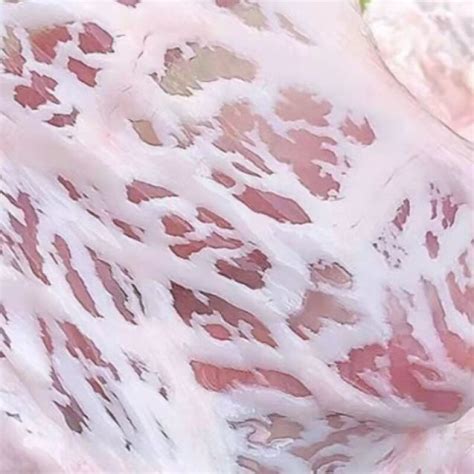 在怀旧粤菜中猪网油被视为入馔必需品
