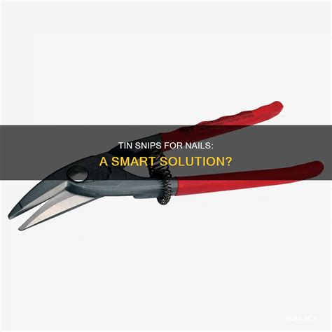 Tin Snips For Nails A Smart Solution Nailicy