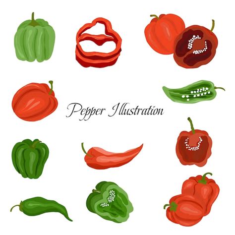 Ilustración De Dibujado A Mano De Chile Y Pimiento Morrón Vector Premium