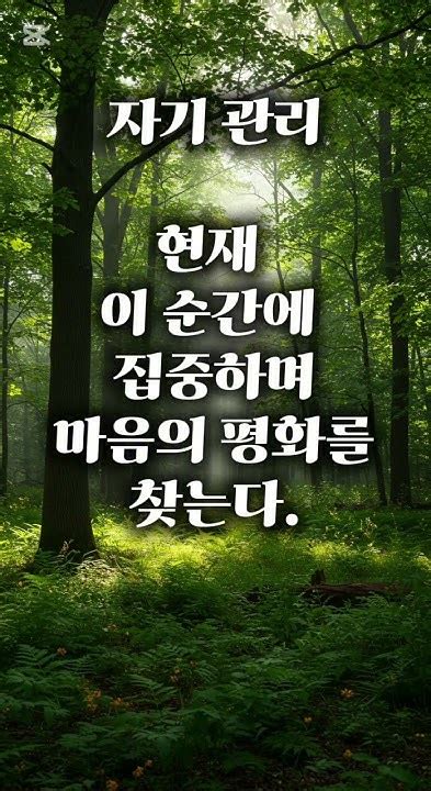 오늘의 명언 오늘의명언 명언 긍정적마인드 긍정의말 긍정의한줄 동기부여명언 좋은글 좋은말 마음의소리로쓰는글 Youtube