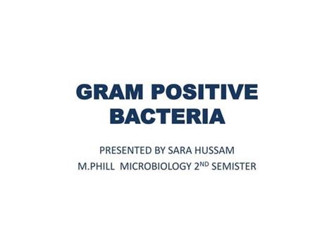 Gram Positive And Gram Negative Bacteria Pptx