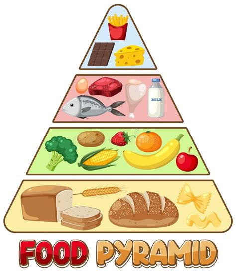 Food Nutrition Groups Pyramid Stock Vector Illustration Of Collection
