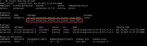 Bug Endpoints Of Postgresql Is Incorrect · Issue 2715 · Apecloud