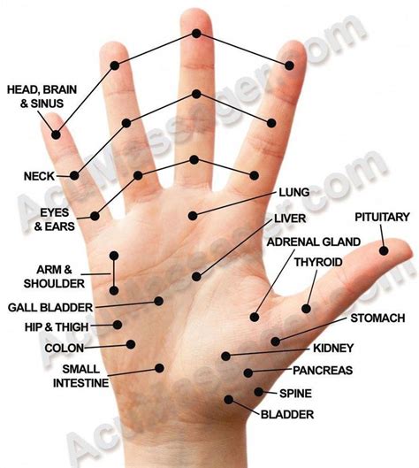 Hand Acupuncture Points Chart Educational Chart Resources