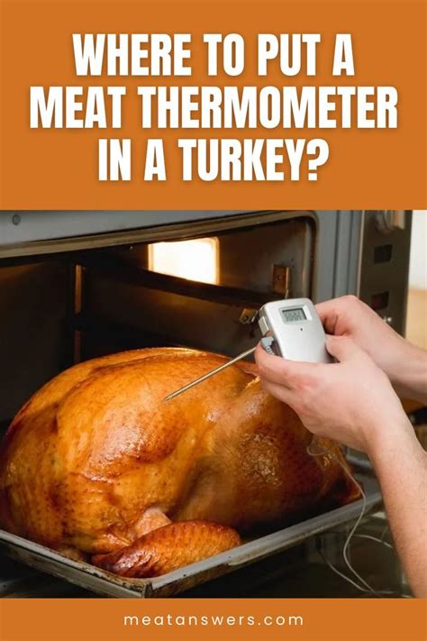 Where To Put A Meat Thermometer In A Turkey Meat Thermometer Turkey Cooking A Stuffed Turkey