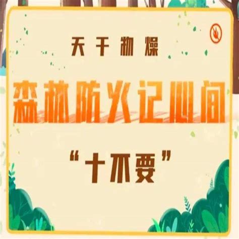 进入林区务必遵守森林防火规定十不要请记牢 大埔 中共 生态