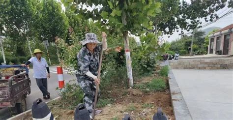 两城镇：凝聚人大代表力量 助力人居环境整治腾讯新闻