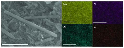 Ex Situ Sem And Corresponding Eds Mapping Of The Cycled 5 Cycles Download Scientific Diagram