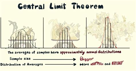 Data Science The Cental Limit Theorem Explained HackerNoon