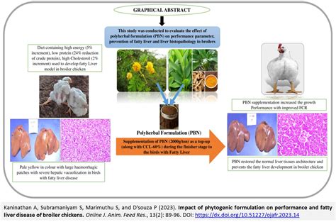 Volume 13 Issue 2 March 2023