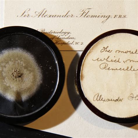 Penicillin Discovery