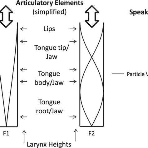 simplified model of the excitation of the vocal tract with an external