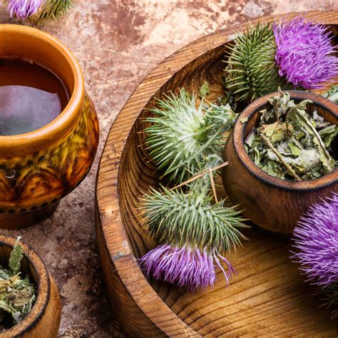 Hepasol Zur Unterstützung Der Lebergesundheit