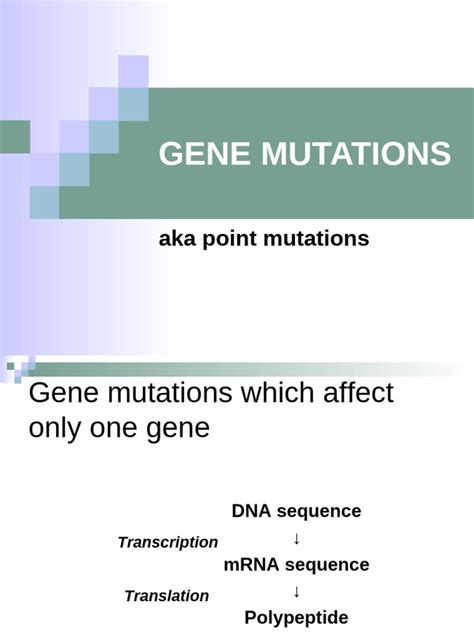 Understanding Gene Mutations And Effects Pdf Point Mutation Gene