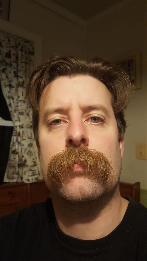 Most Popular Walrus Mustache Styles And Shaving Guide With Pictures