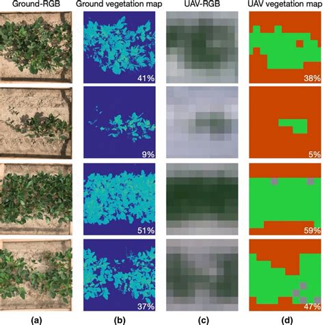 ground assessment of the performance of the algorithm for extracting