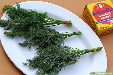 3 Ways To Dry Dill Wikihow