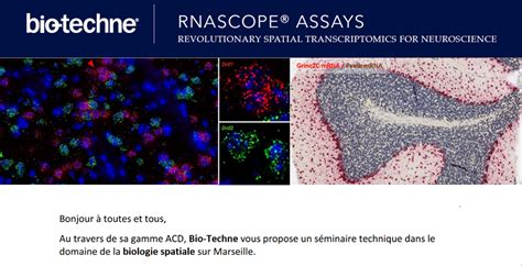 Seminar Rnascope Technique Int