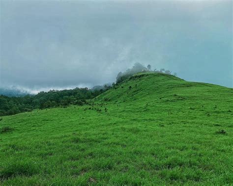 ល្បីទីណាសម្រាមដល់ទីនោះ បុរសម្នាក់ បង្ហាញពីសម្រាម សេសសល់ពីការហូបចុក របស់ភ្ញៀវមកលេង ខ្នងផ្សារ