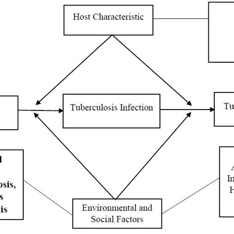 Conceptual Framework Of Occupational Exposure And Tuberculosis Disease