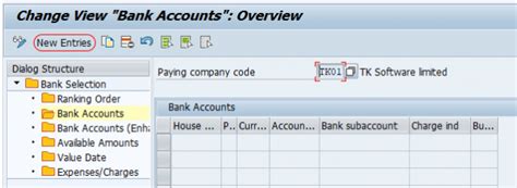 Automatic Payment Program Run In SAP FI Customize Payment Program