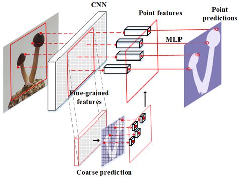 Ac R Cnn Pixelwise Instance Segmentation Model For Agrocybe