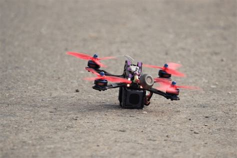 Drone Shrimp Royalty Free Images Stock Photos Pictures Shutterstock