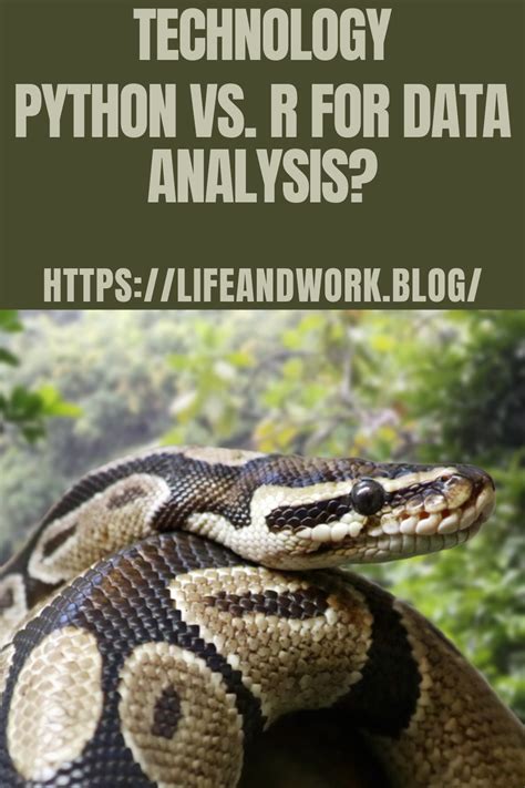 Technology Python Vs R For Data Analysis
