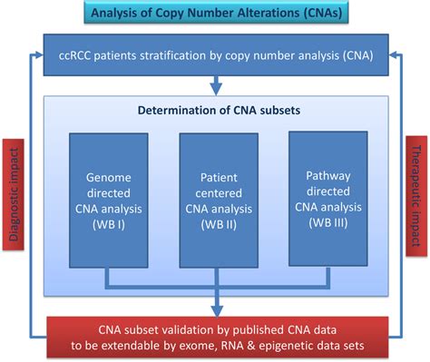 Workflow Analysis Of Copy Number Alterations Cnas Three Different