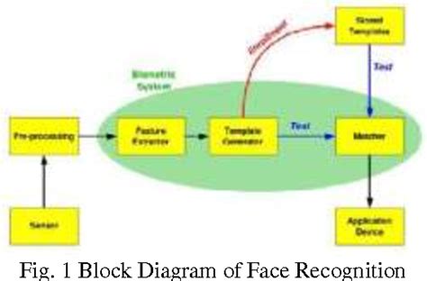 Figure 1 From Face Recognition Using Gabor Features And Pca Semantic