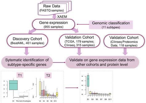 Pipeline Of Systematic Identification Of Subtype‐specific Genes From