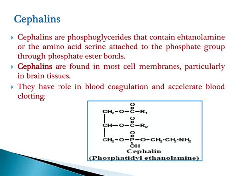 Lipids Properties Classification Function Pptx Chemistry Science