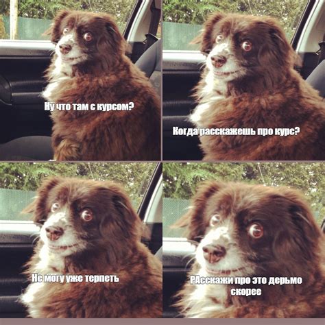 Комикс мем Ну что там с курсом Когда расскажешь про курс Не могу уже терпеть РАсскажи про