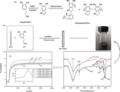 Poly Dopamine Modified Microcrystalline Cellulose A Green Reinforcing Filler For Natural Rubber