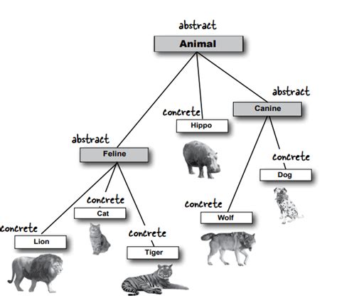 Head First Java By Keith Sierra Chapter 08serious Polymorphism By Kishara Buddika Jul 2022
