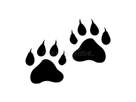 Wildlife Tiger Paw Prints Paw Prints Set World Tiger Day Vector