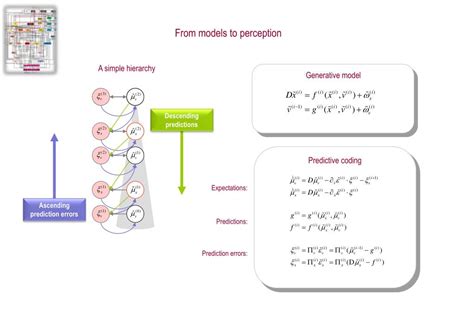 Ppt Canonical Circuits For Predictive Coding Karl Friston University College London