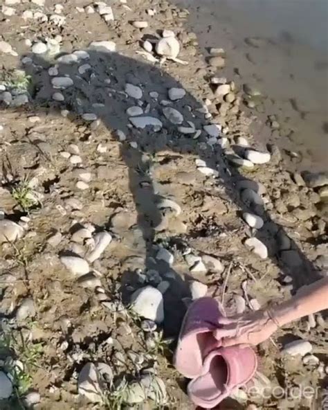 Анаконда🐍 нагадила В РЕКУ 💩🤮 Трусы на голове🙈 ПОТЕРЯЛА юпочку 😱👗 Shorts Saveliyad