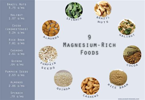 Magnesium Rich Foods Ancient Minerals