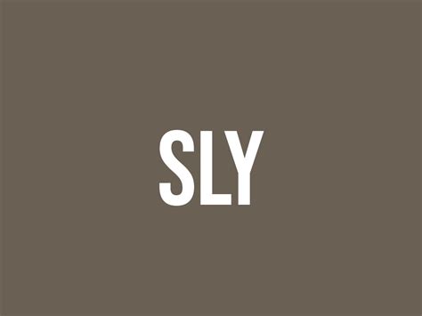 What Does Sly Mean Meaning Uses And More FluentSlang
