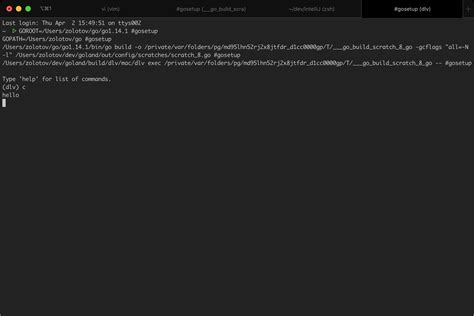 Cannot Read From Stdin With Buffered Reader · Issue 1964 · Go Delve