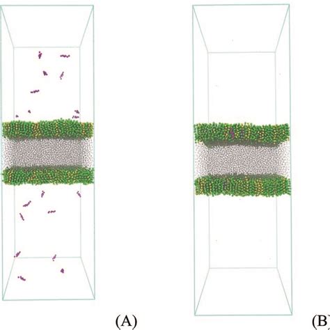 System Setup For Coarse Grained Molecular Dynamics A Starting