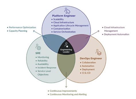 Overview Of Devops Sre Cloud And Platform Functions Devops Devops
