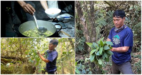 បទយកការណ៍៖ ម្ជូរល្មម ជាអាហារមានរសជាតិឈ្ងុយឆ្ងាញ់ប្រចាំអ្នកស្រុកនៅតំបន់ទេសចរណ៍ខ្នងព្រះ